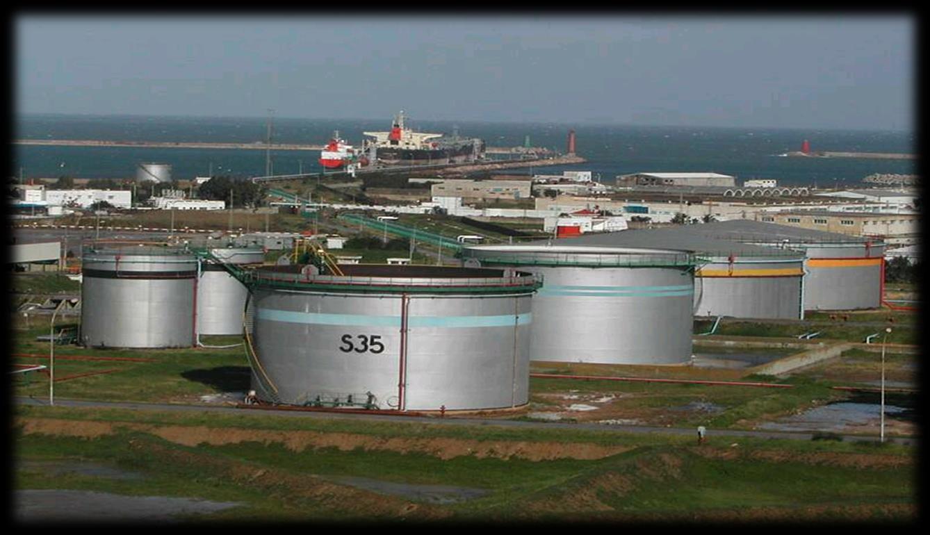 Stir Case Study - Cetim Engineering